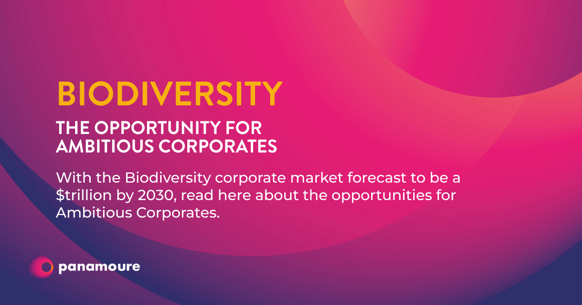 Home | Panamoure Consulting