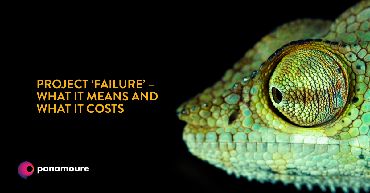 Unravelling the Price of 'Failure': The Hidden Costs of Unsuccessful IT ...